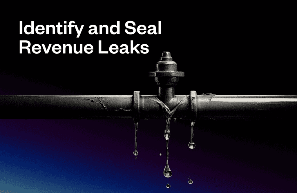 What Is Revenue Leakage and How To Prevent It? | Maxio What Is Revenue Leakage and How To Prevent It? | Maxio